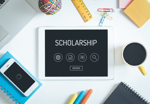 Undergraduate Scholarship | Worldwide Education and Scholarship Center